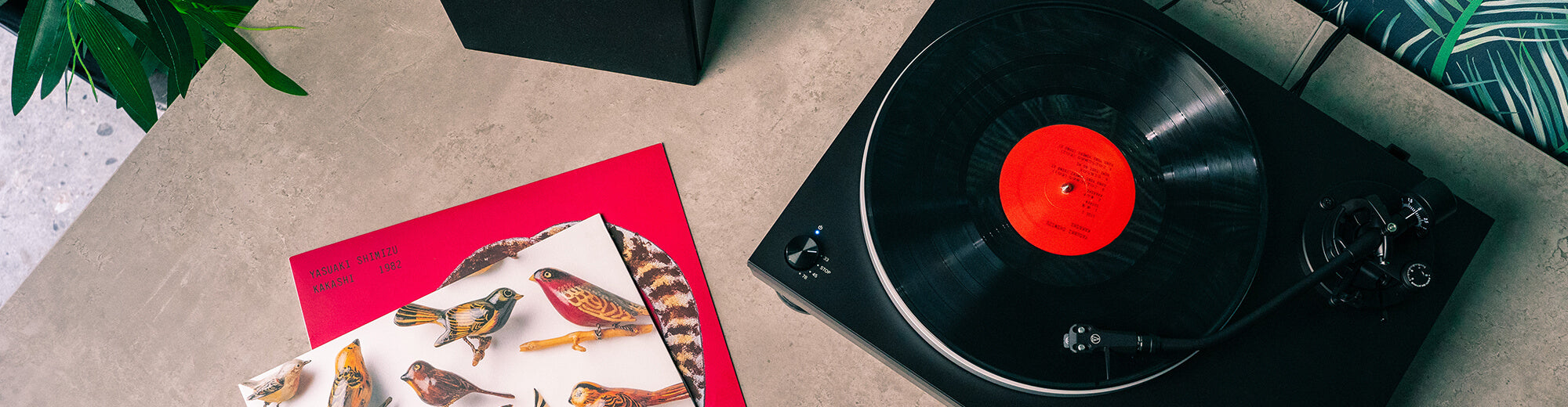 Turntables Unpacked: What Matters, What Doesn’t, and How to Get It Rig